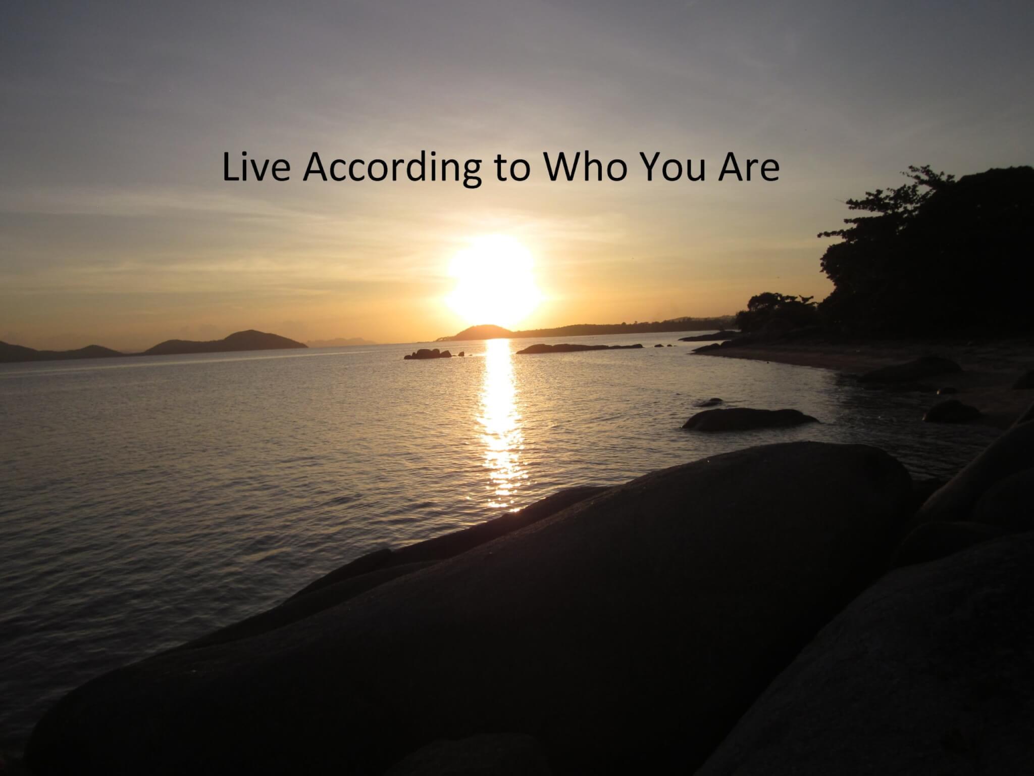 Life Strategy. Live According to Who You Are - Ultimate Mastery Academy
